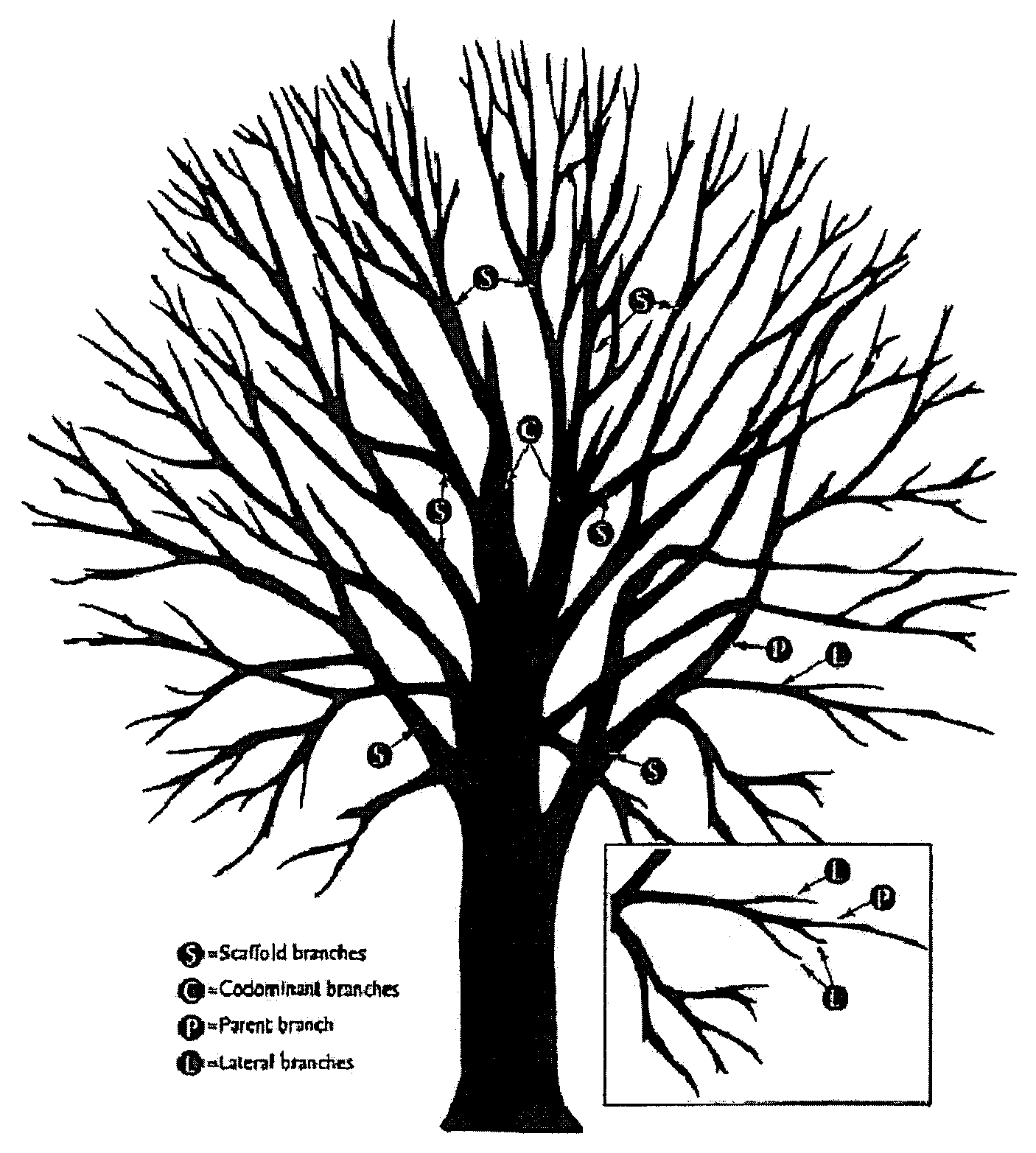 Including Definition